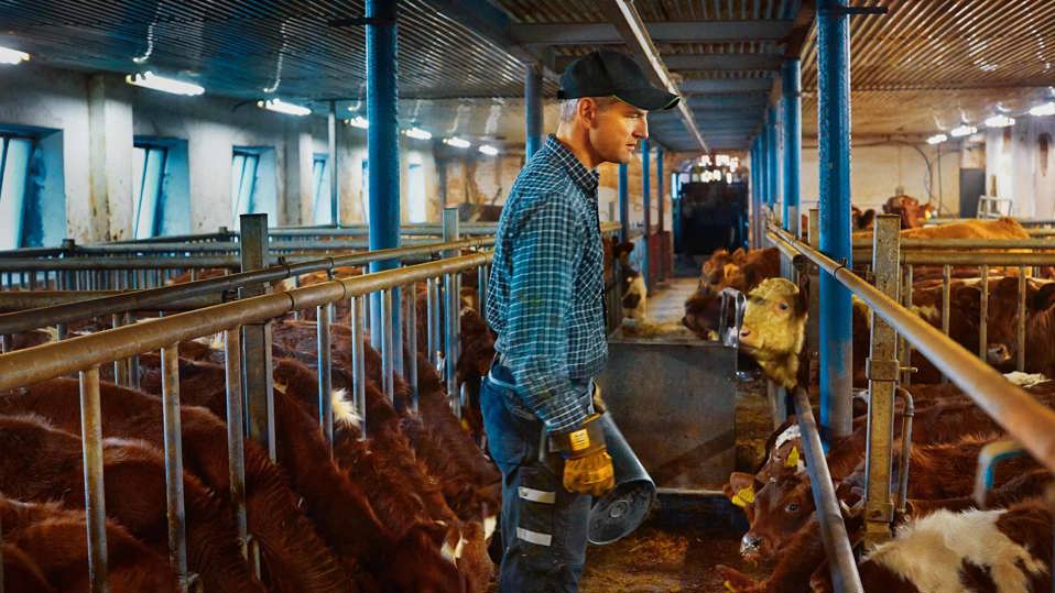 Arla US | About Us | Arla US