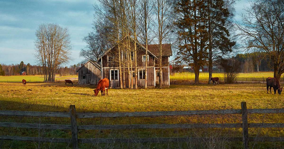 Arla US | Company Responsibility | Arla US